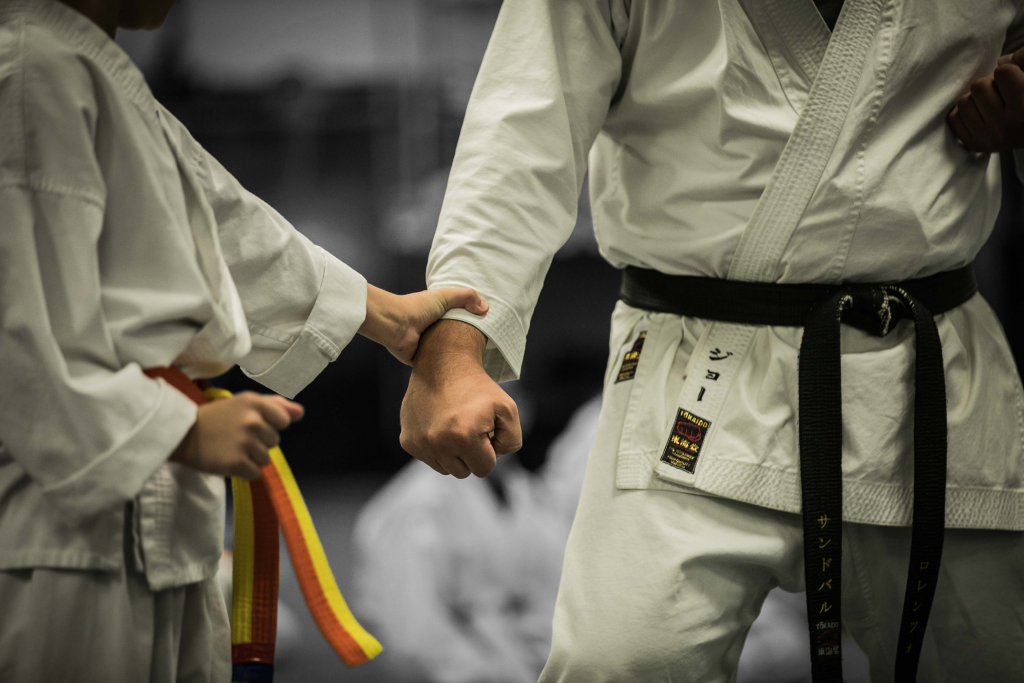 Karate Canvas 1 | Ageless Martial Arts