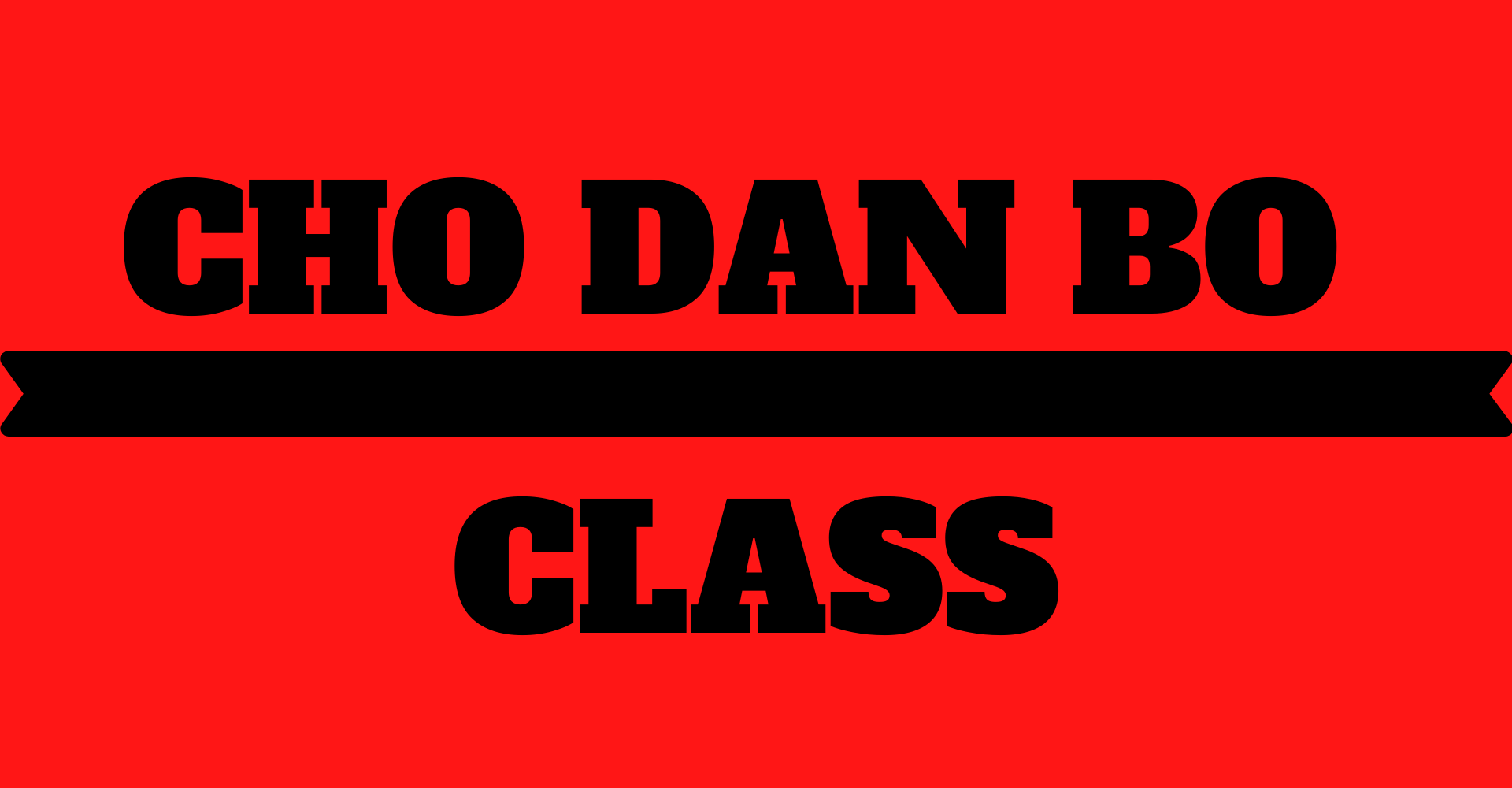 Cho Dan Bo (1) | Level Up Black Belt Academy