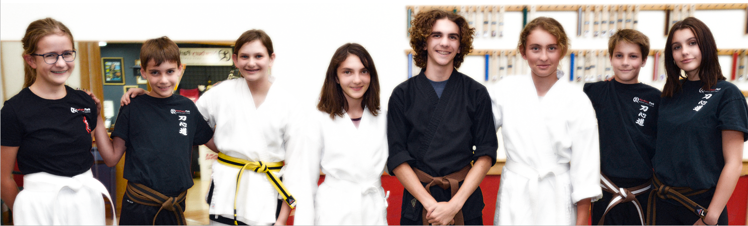 Ninja Campaign - Teen | Newbury Park Martial Arts Center
